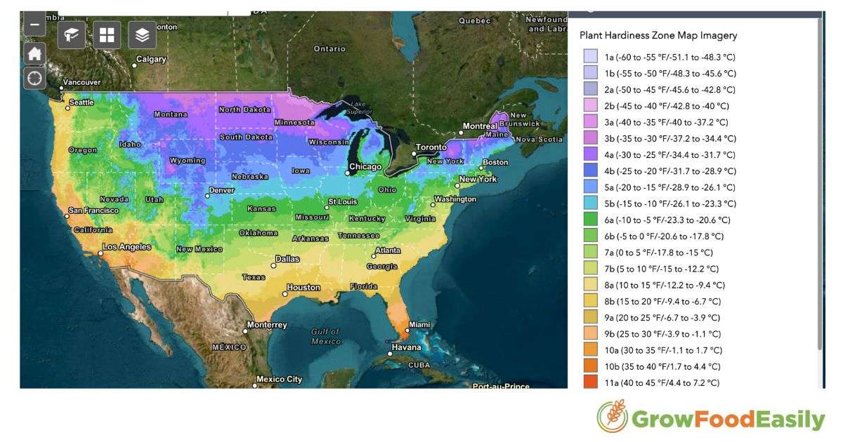Understanding Plant Hardiness Zones: A Guide For Gardeners