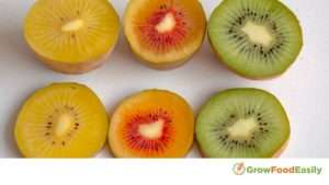 How To Grow Kiwi: A Guide To Juicy, Sweet Fruit At Home